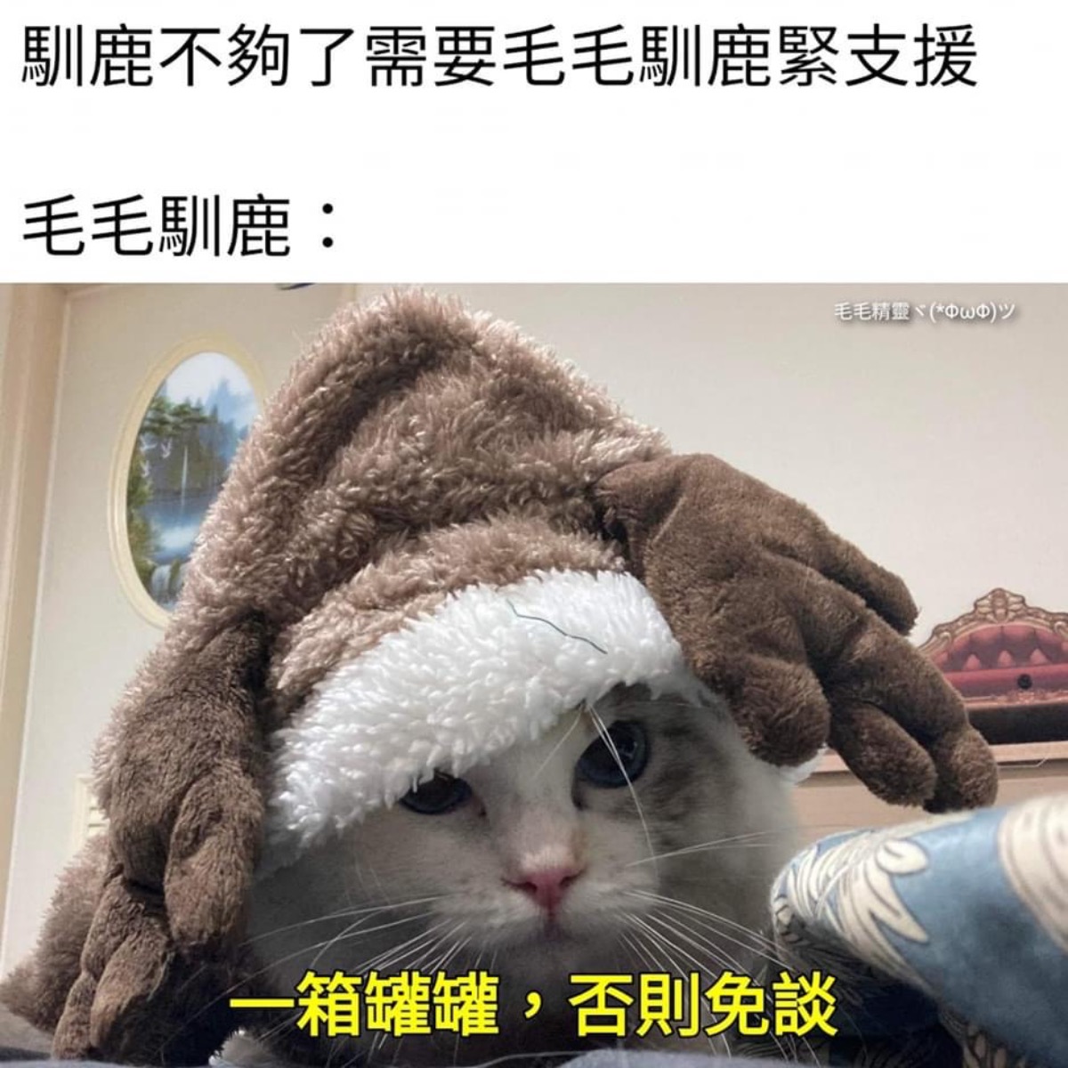 罐罐！！！ | 4Gamers