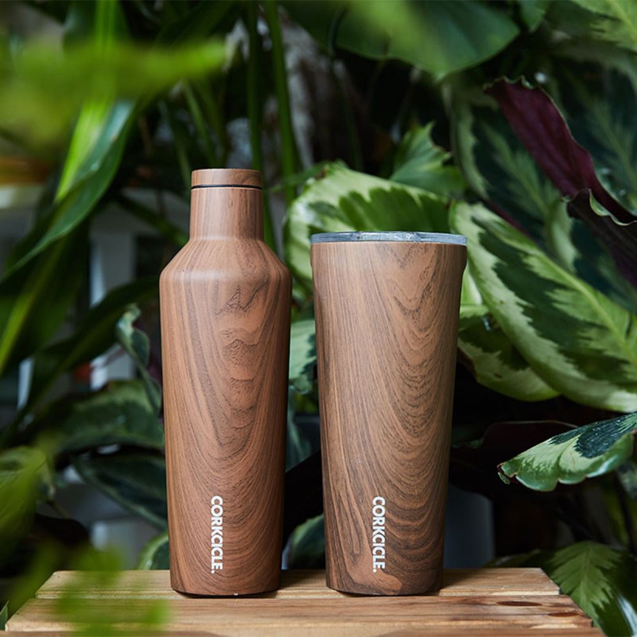 你推的保溫瓶？ | 4Gamers