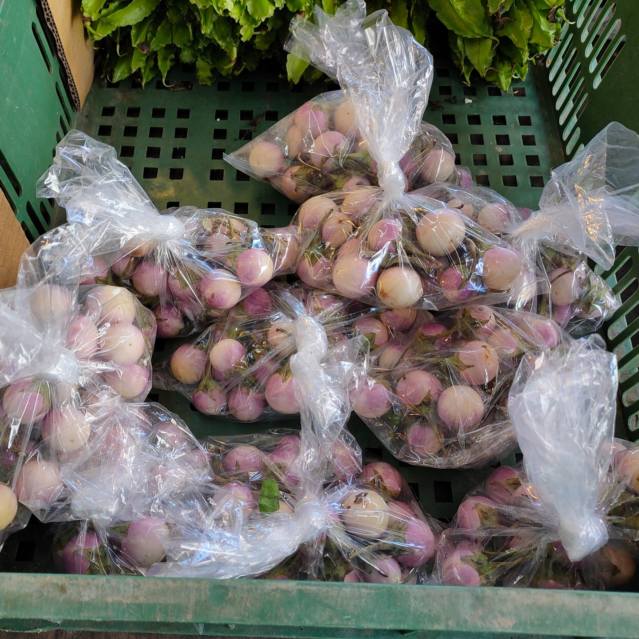 這是什麼 | 4Gamers