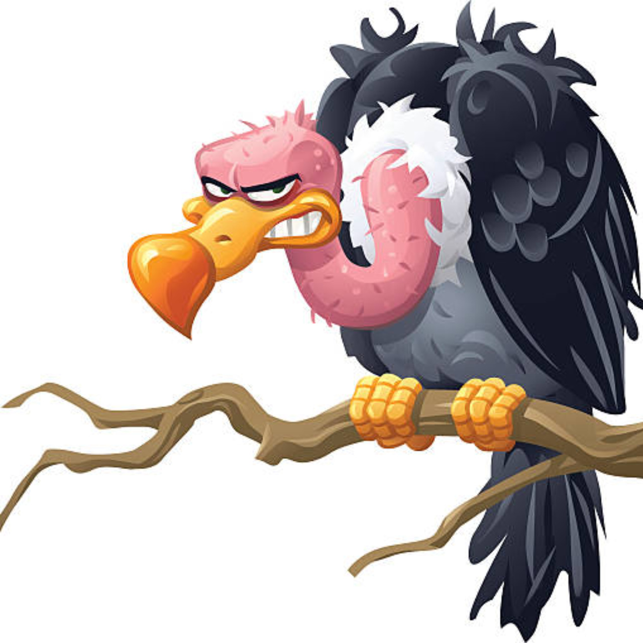 禿鷲會禿頭其實是為了預防生病保持健康？ | 4Gamers