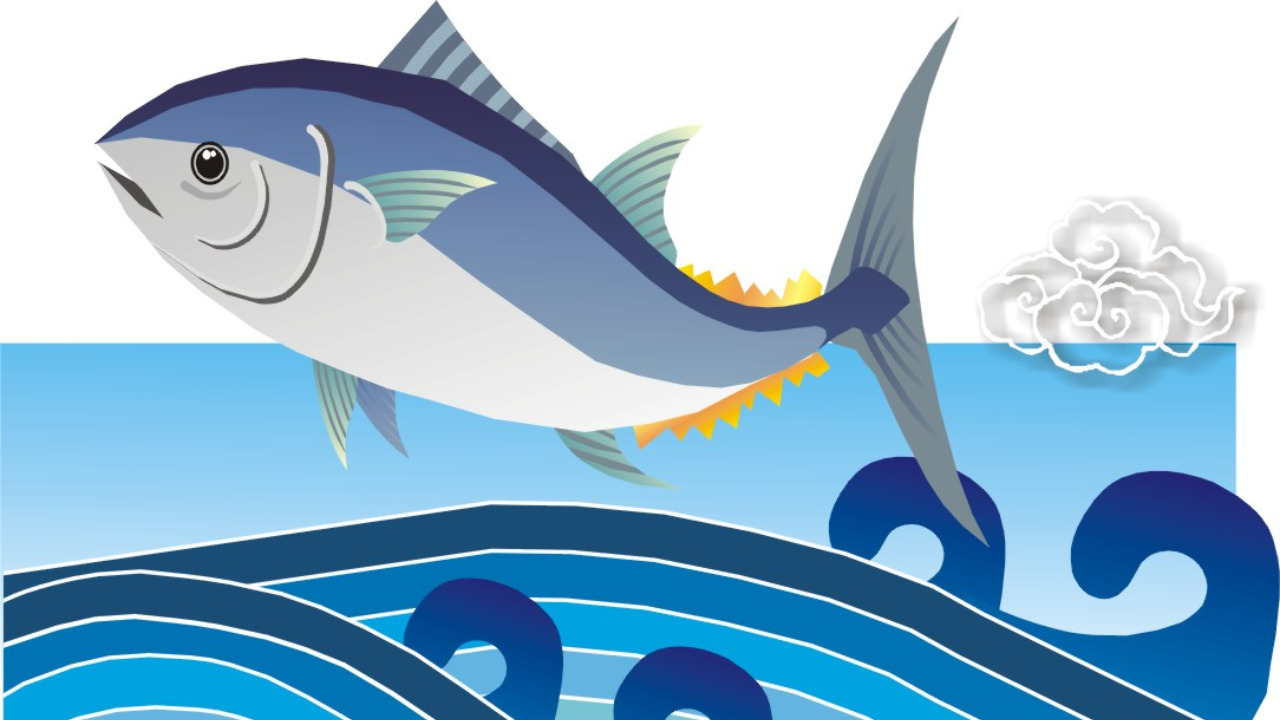 黑鮪魚過著馬拉松的生活，身體是為了速度而設計？ | 4Gamers