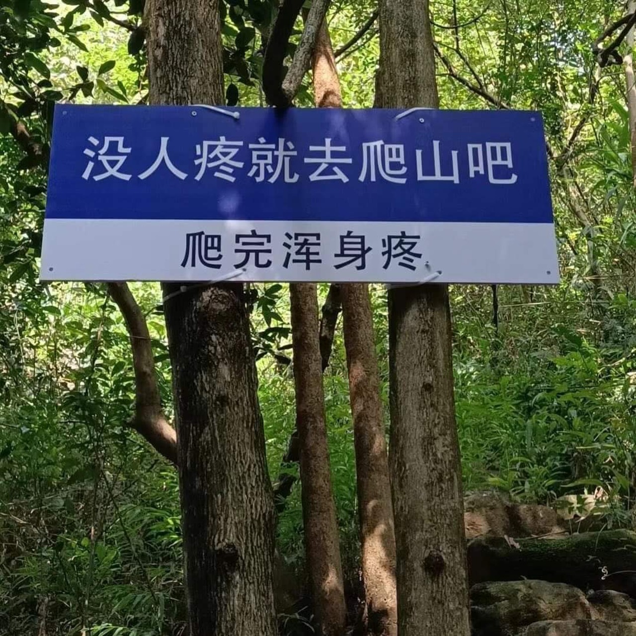 沒人疼就去....... | 4Gamers