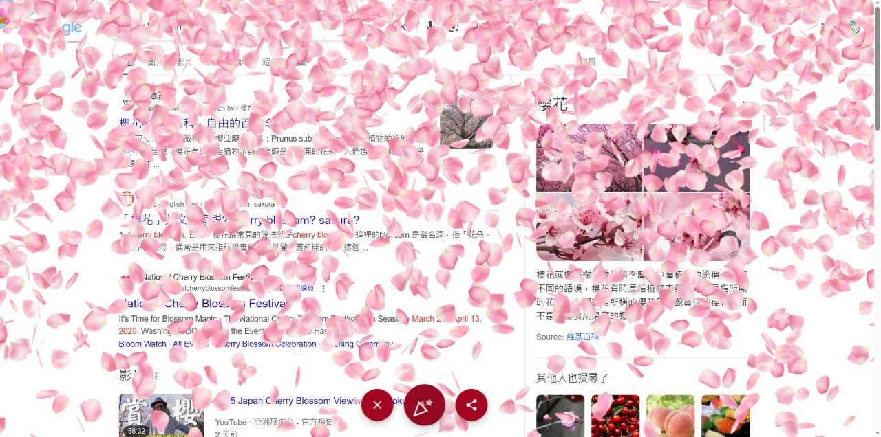 Google：cherry blossom | 4Gamers